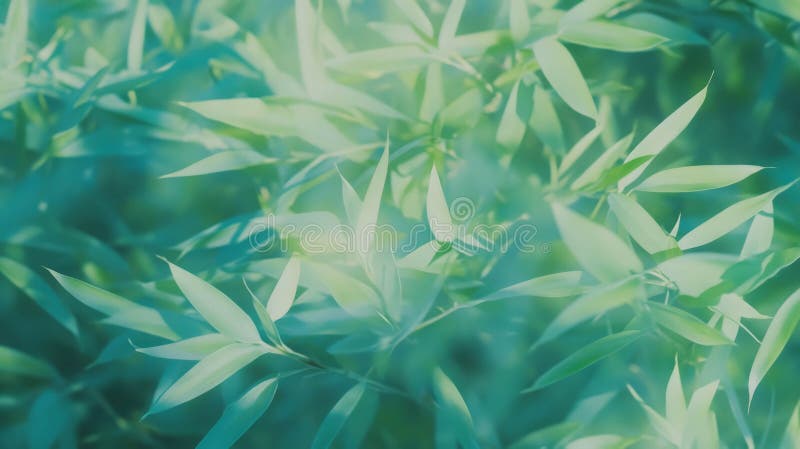 Serene Light Green Bamboo Texture with Soft Illuminated Leaves Stock ...