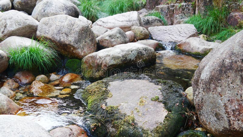 Glimmering Waters Wild Beauty Stock Photos - Free & Royalty-Free Stock ...