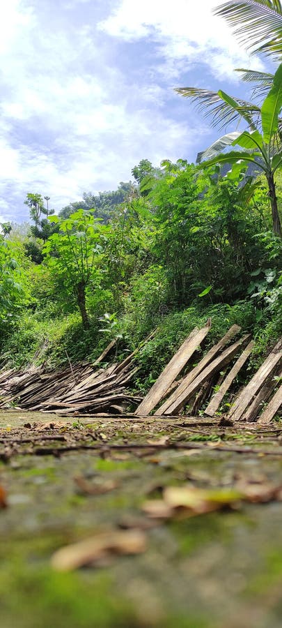 Serene natural atmosphere stock image. Image of serene - 268784065