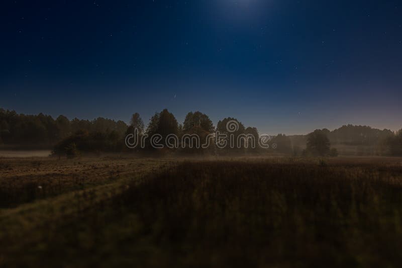 Starry Night Sky Over Misty Forest Landscape with Rolling Fields and ...