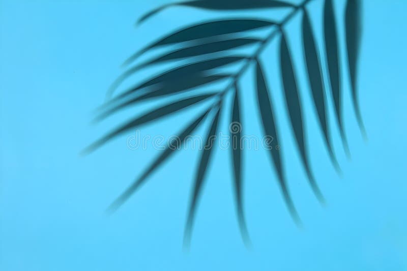Palm Leaf Shadow on Blue, Tropical Aesthetic, Minimalist Design, Summer ...
