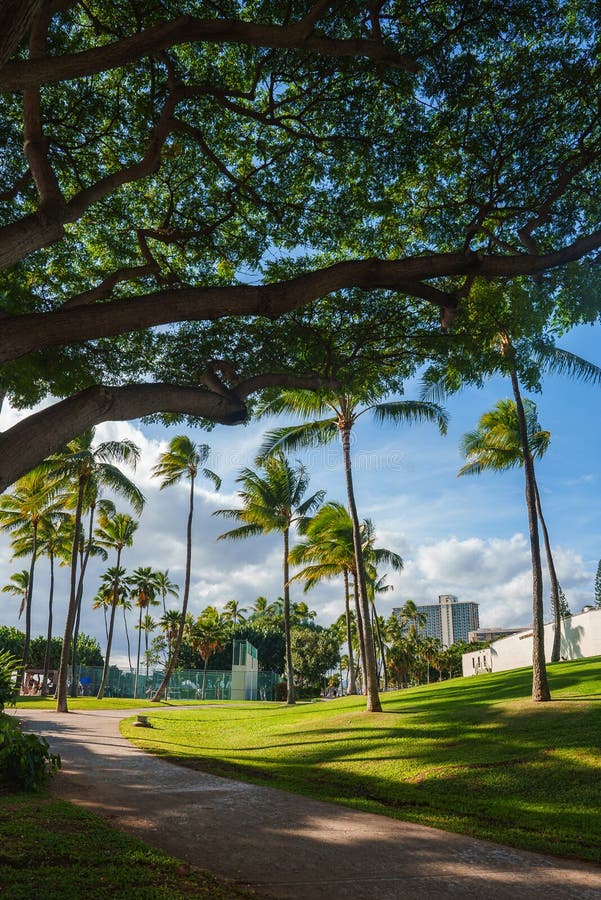 Serene Park in Hawaii with Pathway, Palm Trees, and Urban Backdrop Stock Photo - Image of ...