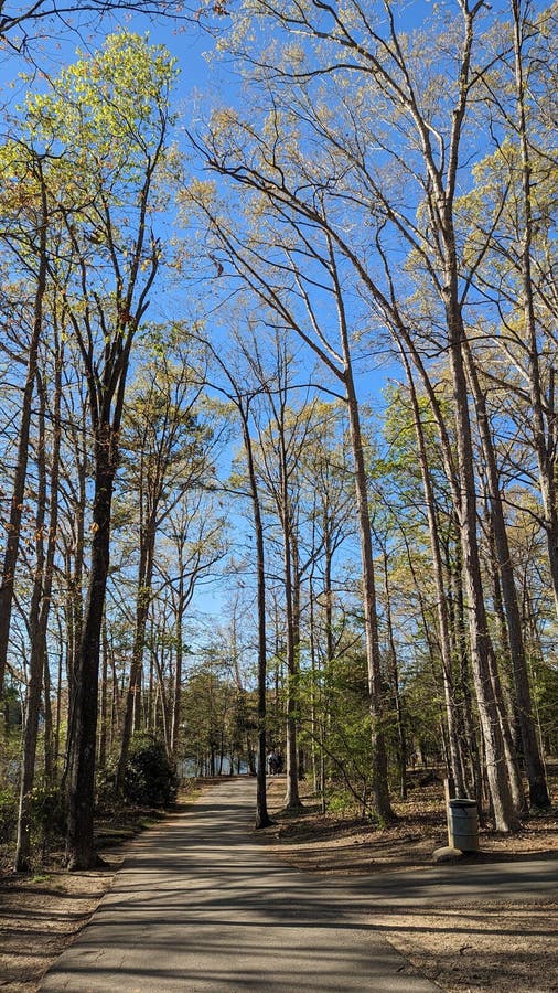 Serene Path Towards Peace and Calm Stock Image - Image of peace, serene ...