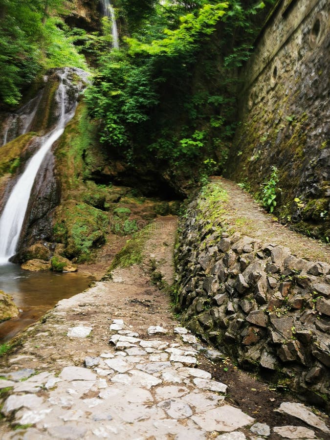 A Serene Pathway beside a Cascading Waterfall in a Lush Forest during a ...