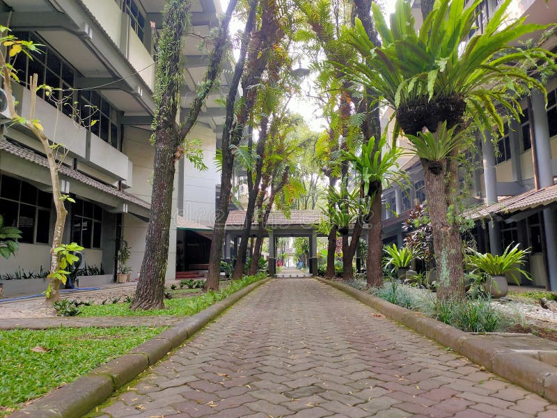 242 Lush Campus Pathway Stock Photos - Free & Royalty-Free Stock Photos ...