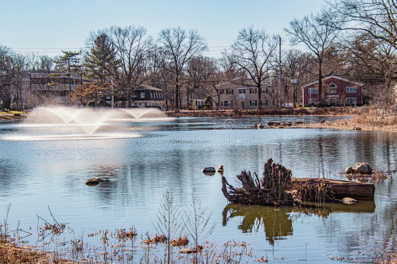 The View of a Pond with a Small Fire Hydrant and Several Ducks Stock ...