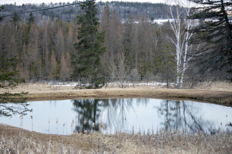 A Small Farm Pond with Reflections in the Spring Stock Image - Image of ...