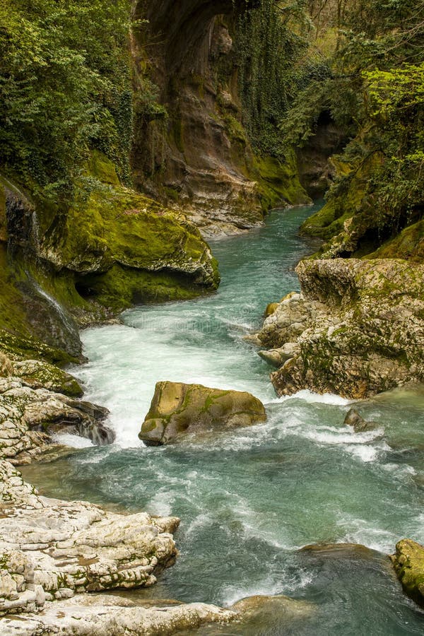 A Serene River Canyon that is Surrounded by a Beautiful, Lush Greenery ...