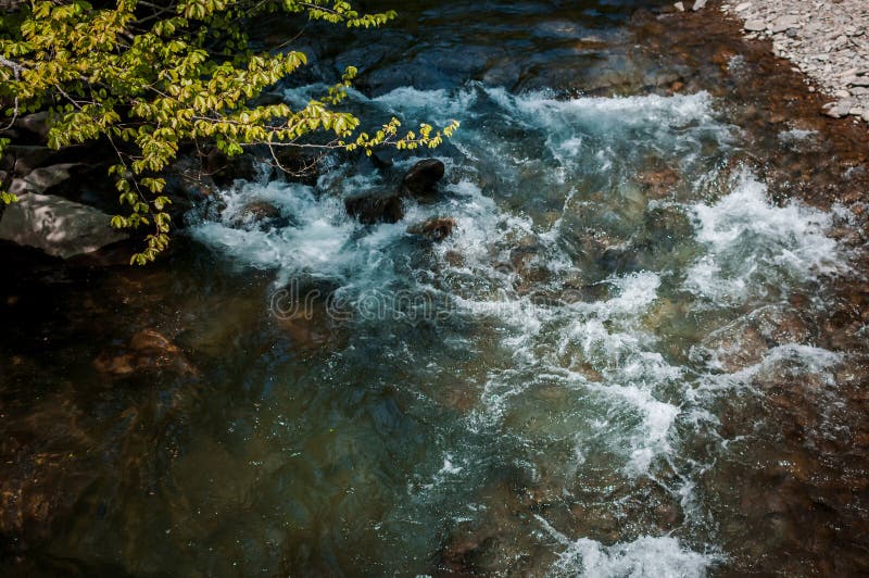 Serene River Flowing Over Rocks Surrounded by Lush Greenery Stock Photo ...