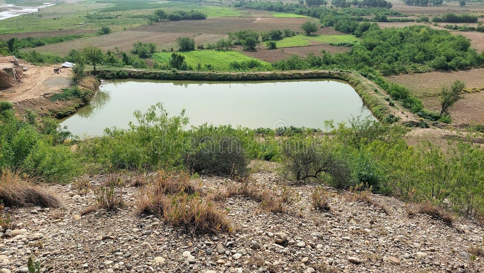 A Serene Rural Landscape Features a Small Rectangular Pond with Calm ...