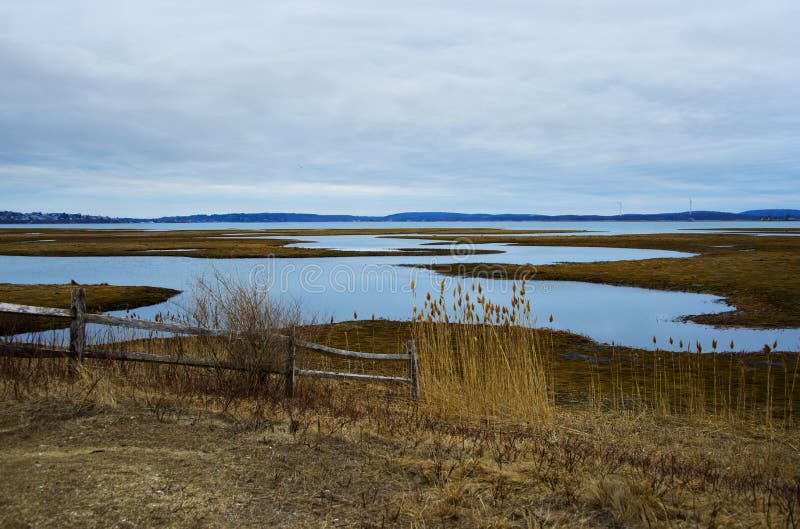Serene Salt Marsh stock photo. Image of landscape, quiet - 40062734