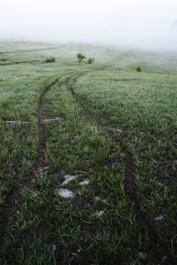 Serene Scene of Empty Road through Green Grass in Morning Mist Stock ...