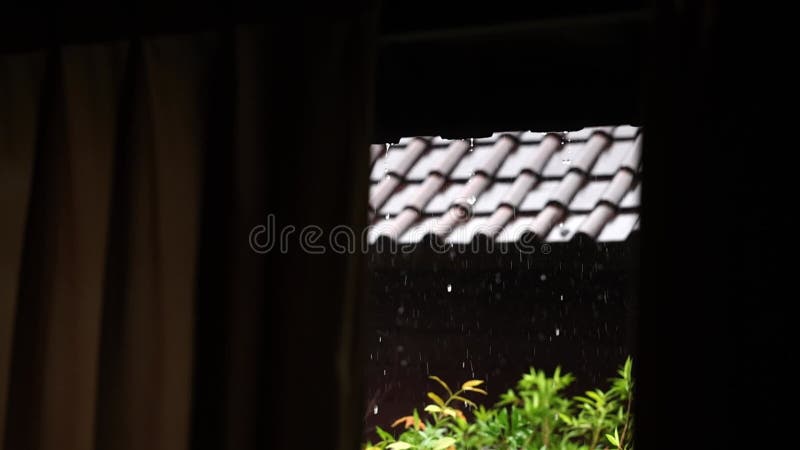 Raindrops Fall from the Roof in a Lush Tropical Setting. Stock Video ...