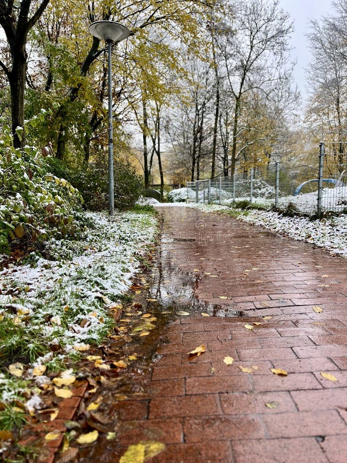 Serene Snowy Path in Central Park during Autumn Stock Image - Image of ...