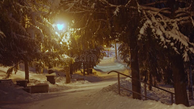 A Serene Snowy Pathway Lit by a Streetlight during a Chilly Nighttime ...