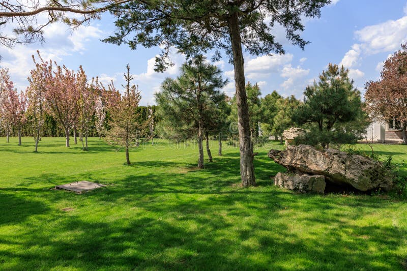 Serene Spring Park with Lush Greenery, Trees, and Rocks Under Blue Sky ...