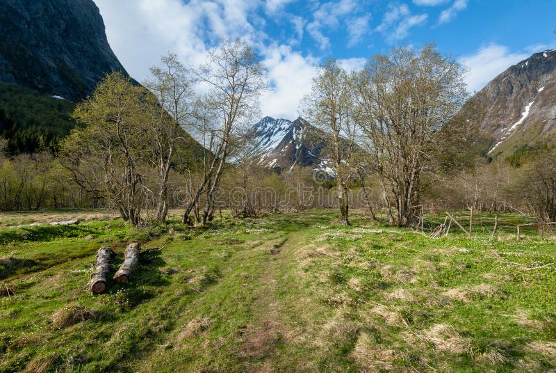 Serene Springtime Meadow with Towering Snow-Capped Mountains and ...