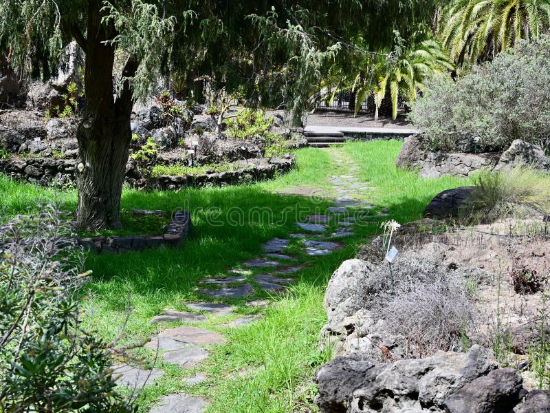 Stone Path through the Botanic Garden Jardin Canario on Gran Canaria ...