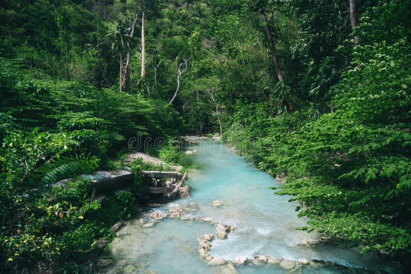 Serene Stream Flowing through Lush Green Woods, Surrounded by Rocks and ...
