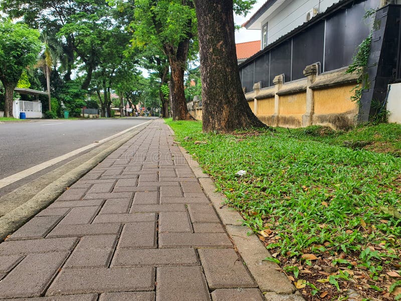 Serene Streetside Walkway, Exploring a Brick Pavement Path Lined with ...