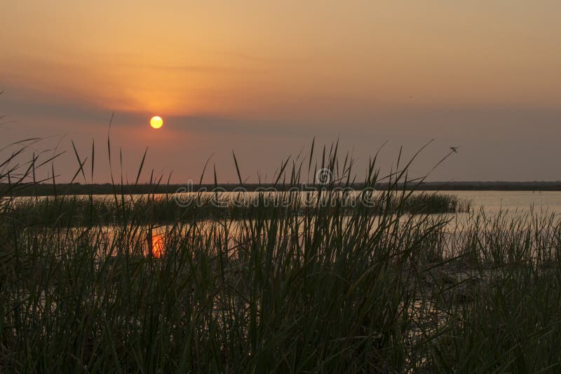 Serene Sunset at the Marsh stock photo. Image of peace - 75114948