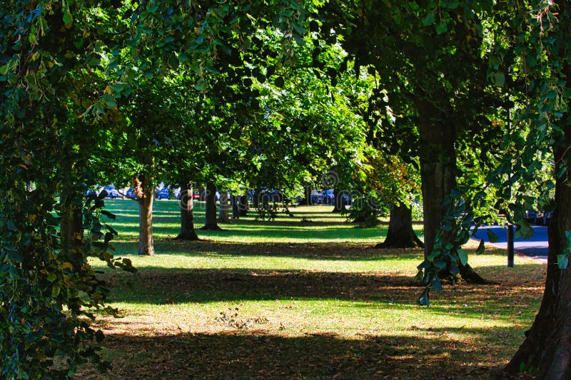 Serene Tree-Lined Pathway in a Park in Harrogate, UK Stock Image ...