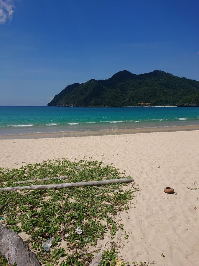 Serene Tropical Beach with Lush Green Island View Stock Photo - Image ...