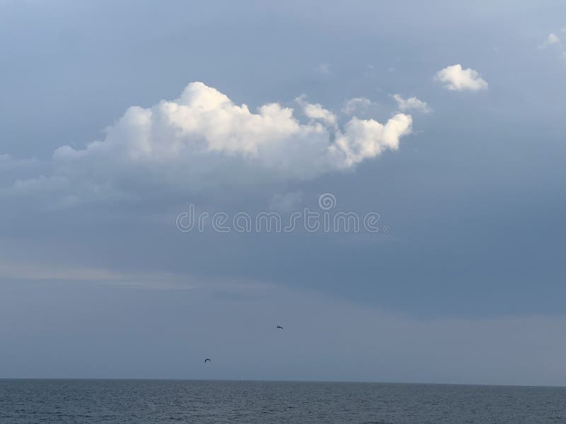 Serene View of the Ocean with Birds Flying Under a Clear Sky with White ...