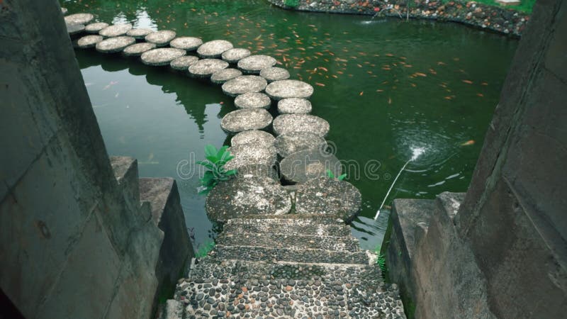 Tranquil Stone Pathway Over Pond Stock Video - Video of composure ...