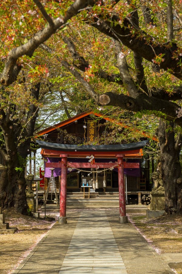 Serene View of a Traditional Japanese Shrine with a Torii Gate ...