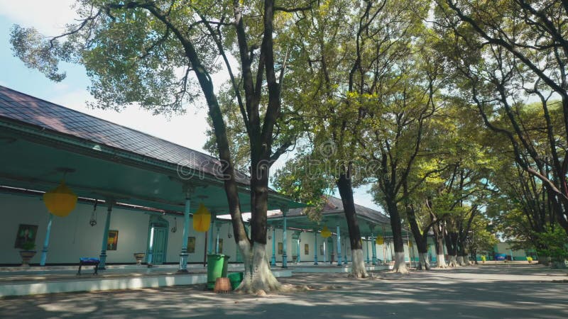 Serene Tree-Lined Pathway with Traditional Architecture Stock Footage ...