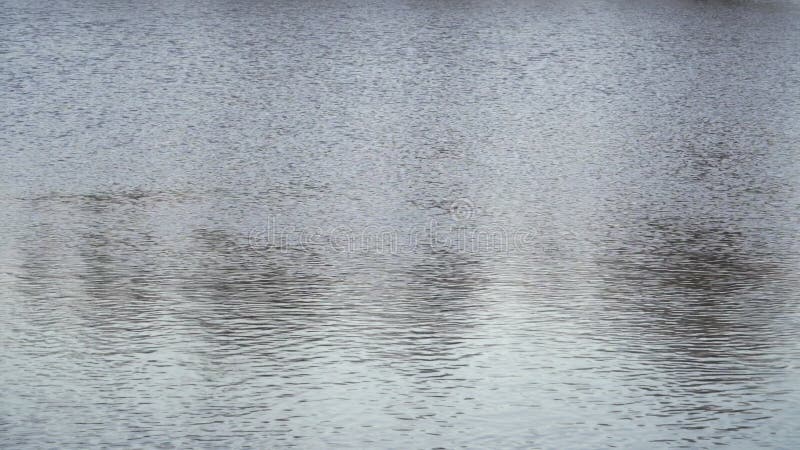 Serene Water Surface with Gentle Wavelets Creating Abstract Patterns ...
