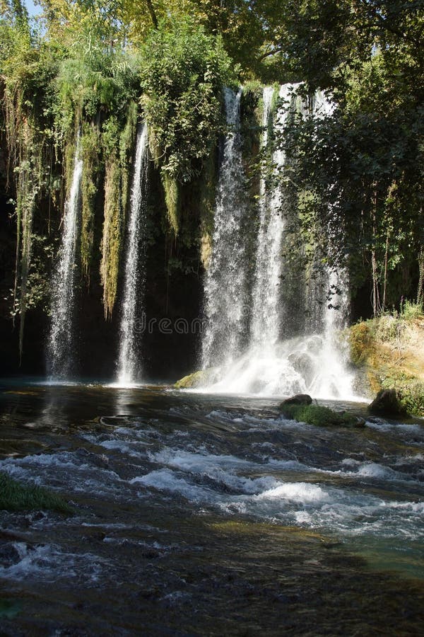 Serene Waterfall Amidst Lush Greenery. Stock Photo - Image of tranquil ...