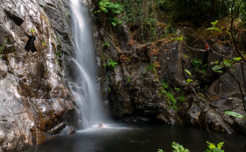 Serene Waterfall Cascading into a Pristine Forest Pool Stock Image ...