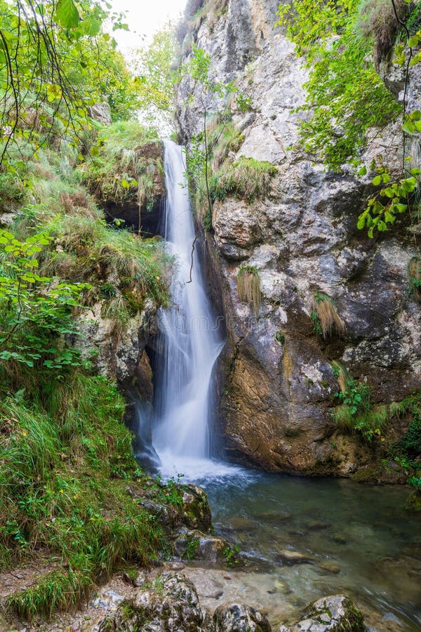 Serene Waterfall in Lush Forest Stock Photo - Image of fresh, forest ...