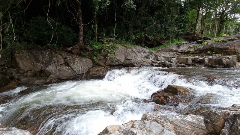 A Serene Waterfall Cascades into a Lush Tropical Paradise Surrounded by ...