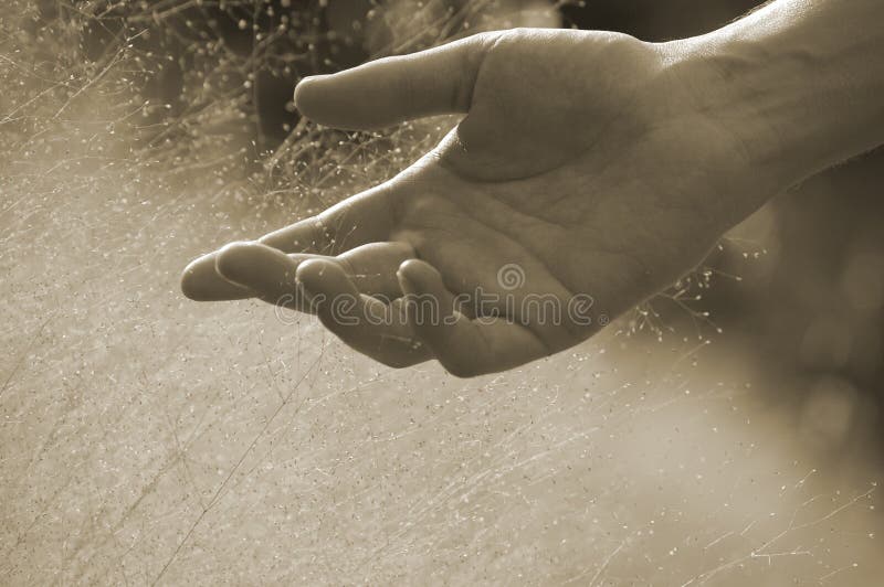 Serenidade E Ioga Que Praticam No Por Do Sol Imagem de Stock - Imagem ...