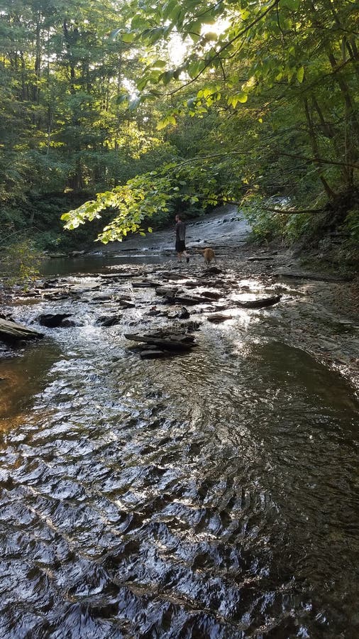 Peaceful babbling brook editorial stock image. Image of serenity ...