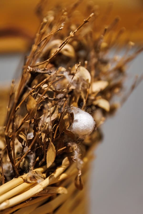 Sericulture Step by Step Silk Production Process in Soufli Evros Greece ...