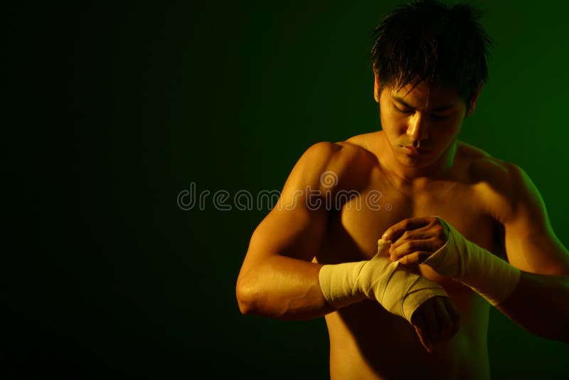 Serie Boxer immagine stock. Immagine di asiatico, difenda - 171387