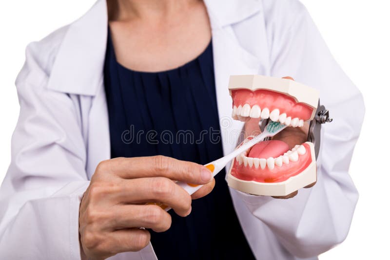 Series of Dentist Showing Correct Method of Brushing Teeth Stock Image ... Series of Dentist Showing Correct Method of Brushing Teeth Stock Image ...