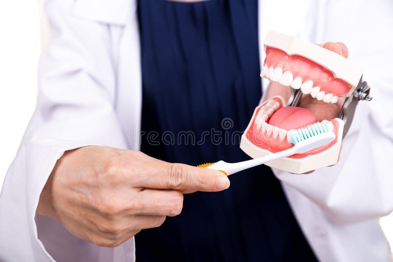 Series of Dentist Showing Correct Method of Brushing Teeth Stock Photo ...