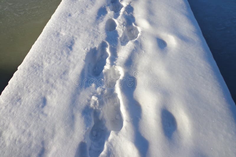 The Series of the Footsteps in the Snow Stock Image - Image of ...