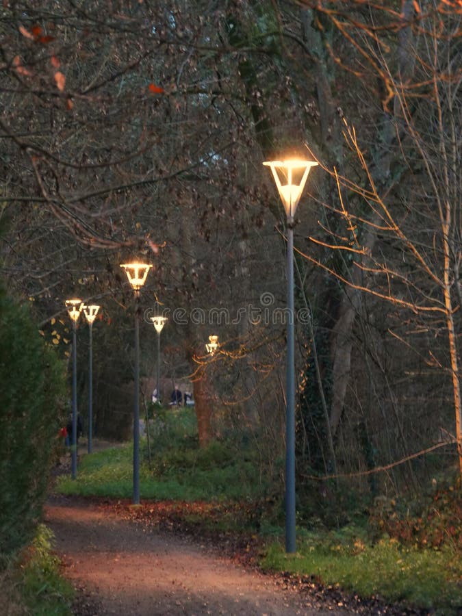 A Series of Light in a Park Stock Photo - Image of plant, park: 231408242