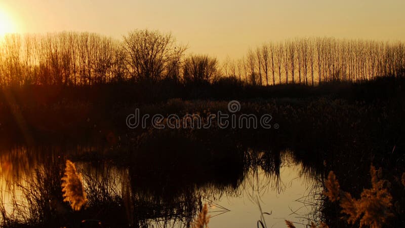 Wallpaper Size 16 Laptop Stock Photos - Free & Royalty-Free Stock ...