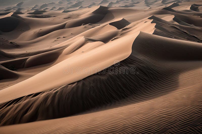 Series of Sand Dunes in Different Shapes and Sizes, with Windblown ...