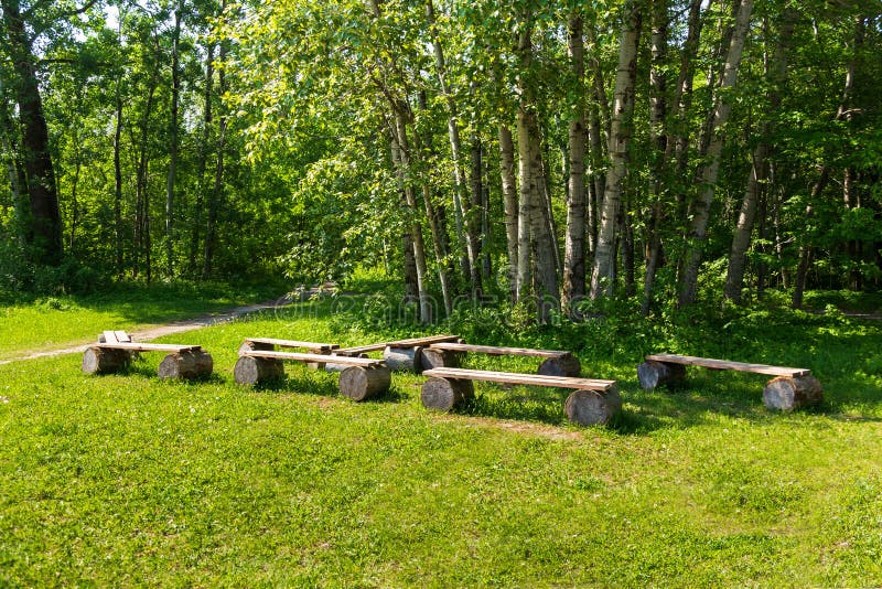 Series of Very Rustic Benches Made of Tree Trunks and Planks Stock ...