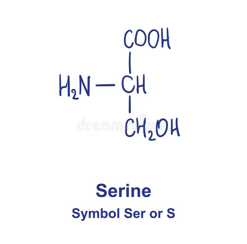Serine Chemical Structure. Vector Illustration Hand Drawn Stock Vector ...
