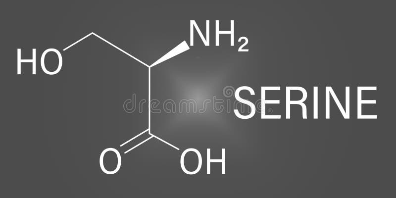 Serine or L-serine, Ser, S, Amino Acid Molecule. Skeletal Formula Stock ...