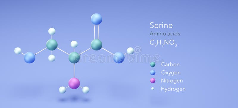 Serine, Molecular Structures, Amino Acid, 3d Model, Structural Chemical ...